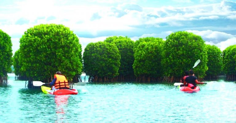 Kannur: Discover The Places In The Crown Of Kerala! - People Places