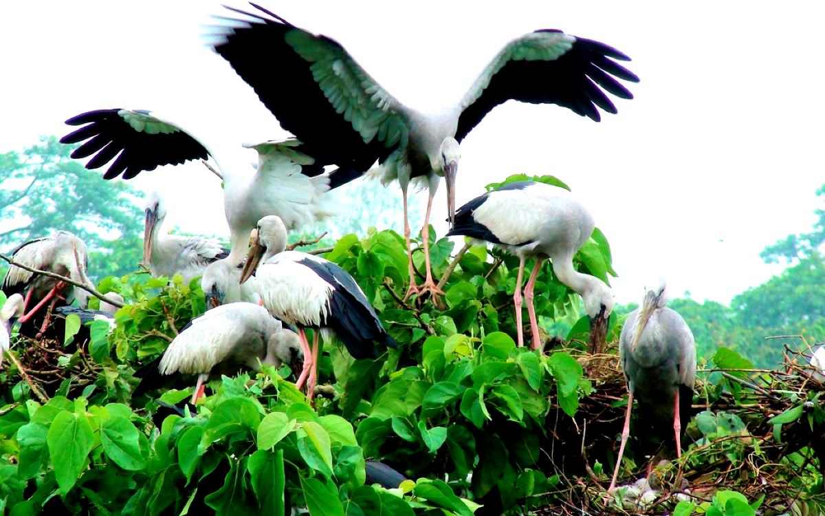 Top 10 Must-Vist Tourist Attractions in Dinajpur 2022 - People Places