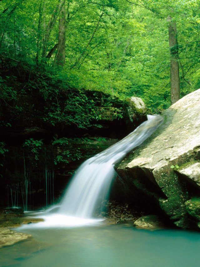 10 Best Famous Places You Must Visit In Golaghat, Assam - People Places