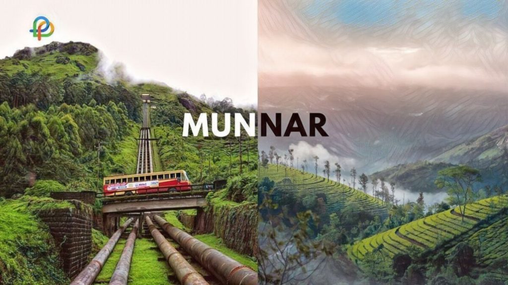 Best Destinations To Explore In Munnar During Winter! - People Places