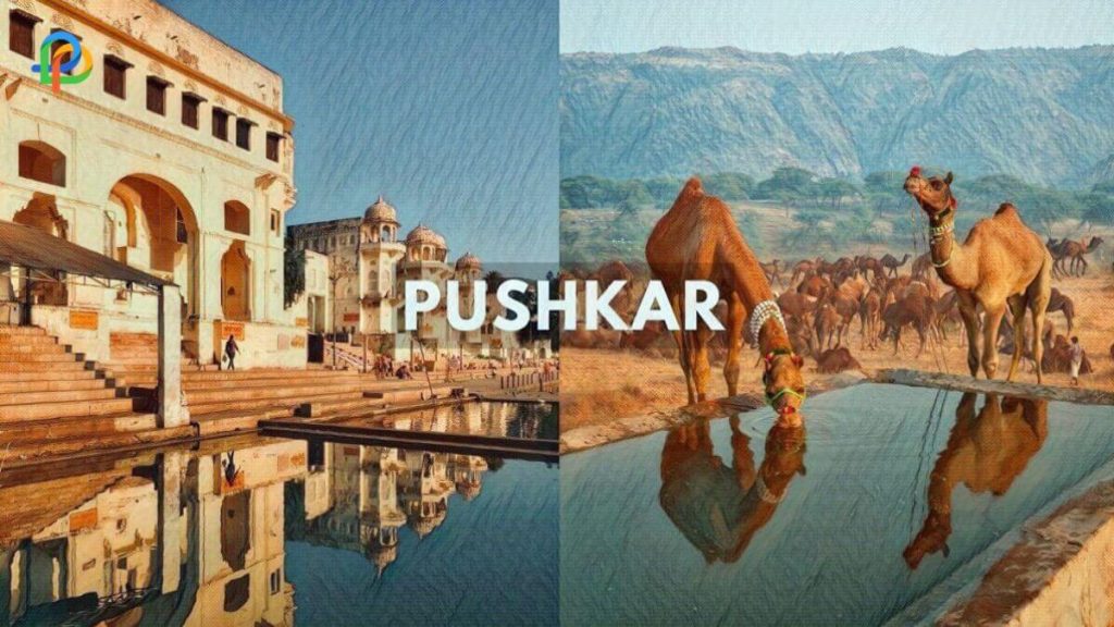 Top Places To Visit In Pushkar, The Rose Garden Of Rajasthan! - People ...