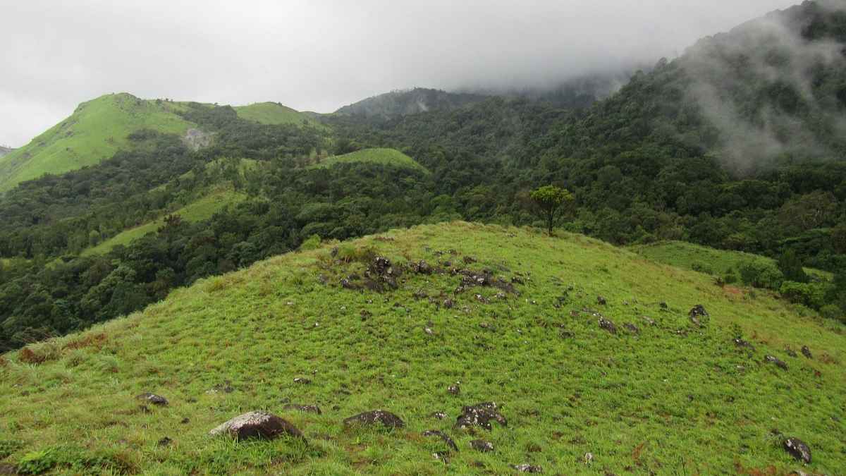 Top Attractions To Visit In Coorg: The Scotland Of India - People Places
