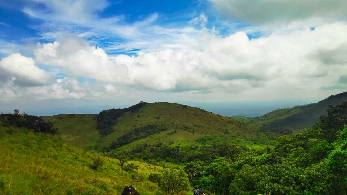 Top Attractions To Visit In Coorg: The Scotland Of India - People Places