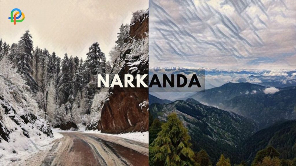 To The Top - Best Places To Visit In Narkanda, Himachal Pradesh ...
