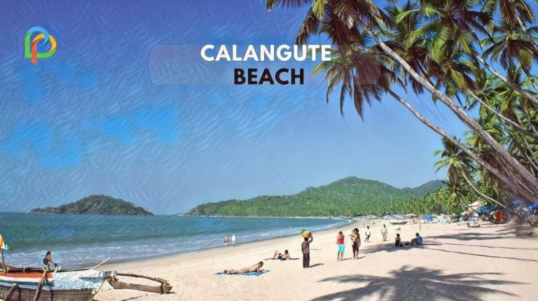 Calangute Beach In Goa: Explore The Queen Of Beaches! - People Places