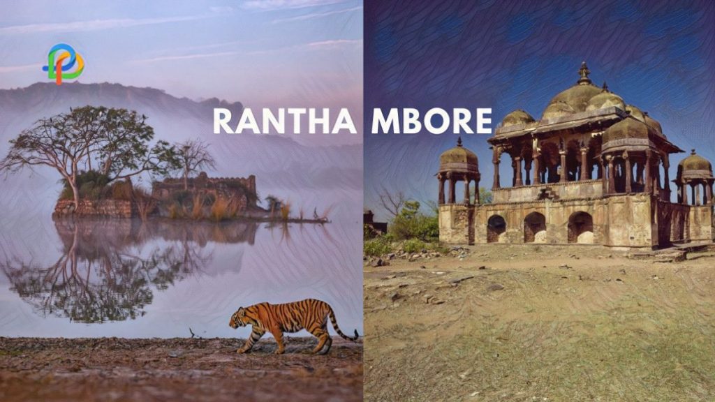 Explore Ranthambore: Most Popular Landmarks In Rajasthan - People Places