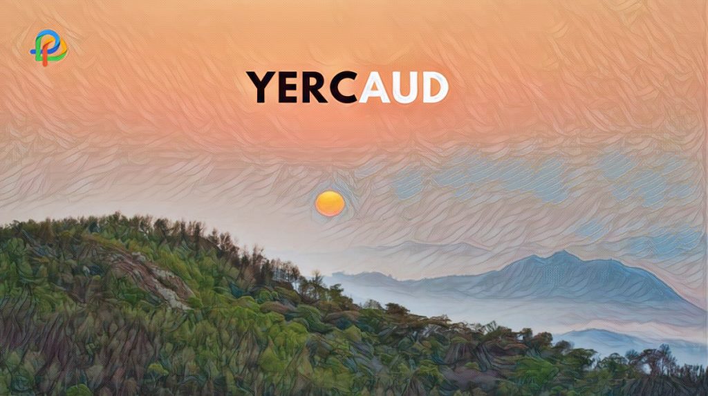 Exploring Yercaud Hill Station: A Complete Tour Guide! - People Places