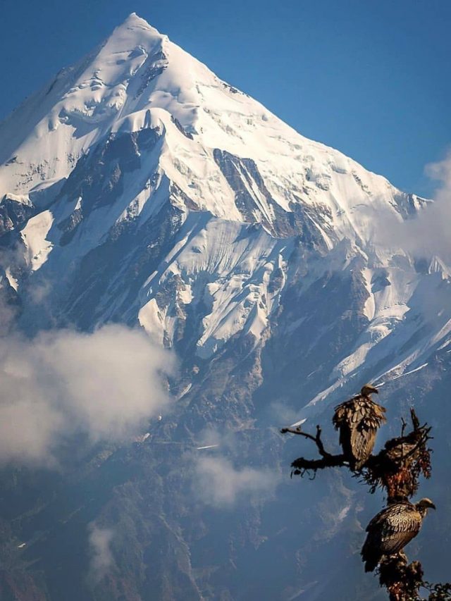 Places To Explore In Munsiyari With Friends! - People Places