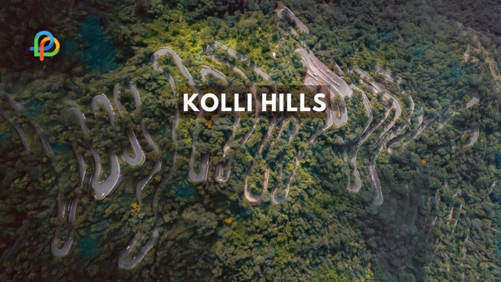 A Vibrant Travel Plan To Kolli Hills-Tamil Nadu 2023! - People Places