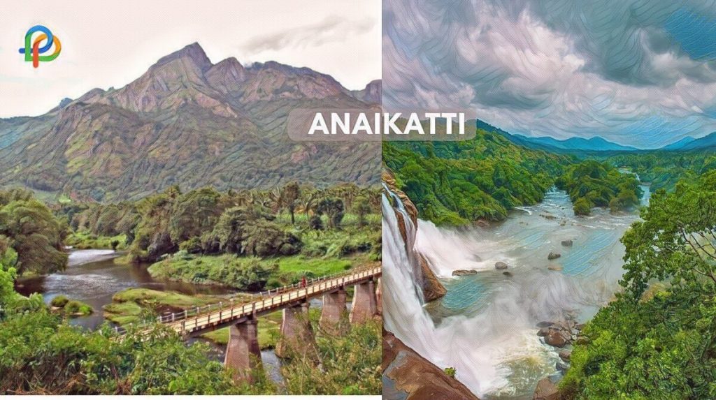 Anaikatti Travel Guide: Explore The Foothills Of Nilgiri! - People Places