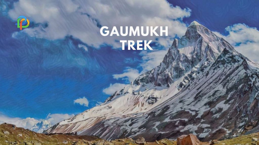 Gaumukh Trek: A Quick Travel Plan To Source Of Ganges River! - People ...