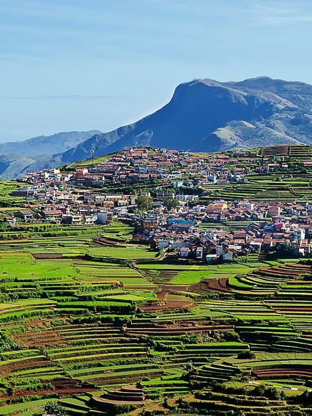 Theni In Tamil Nadu - A Land Blessed By Nature! - People Places