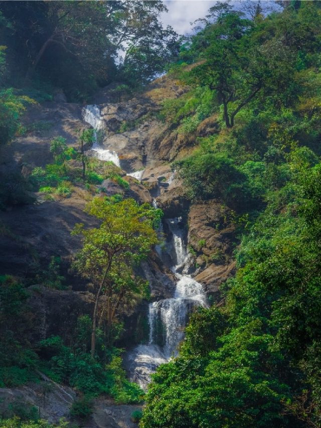 Know Everything About Siruvani Waterfalls: A Complete Travel Guide ...