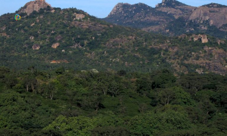 Tumkur: Enjoy The "Kalpataru Nadu" Of Karnataka!