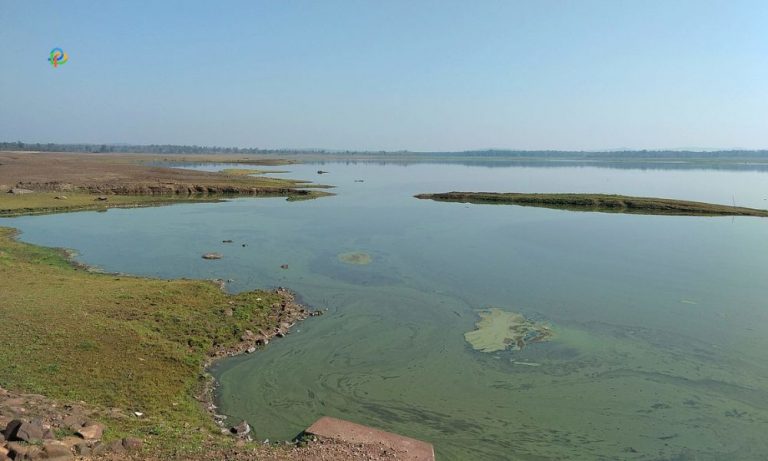 Unveil The Charm Of Gadchiroli: A Hidden Gem Of Maharashtra! - People ...