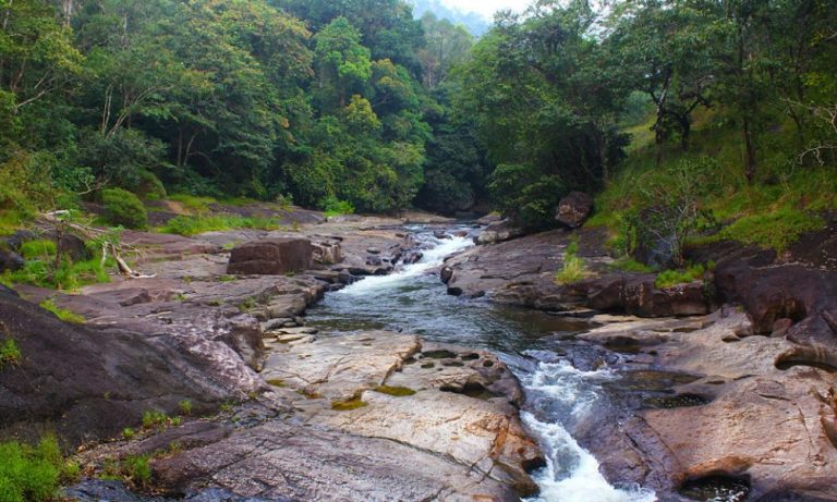 Ponmudi: Discover The Ooty of South Kerala! - People Places