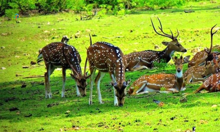 Khammam: Explore The Great Historical & Religious Sites! - People Places