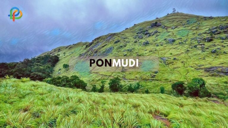 Ponmudi: Discover The Ooty of South Kerala! - People Places