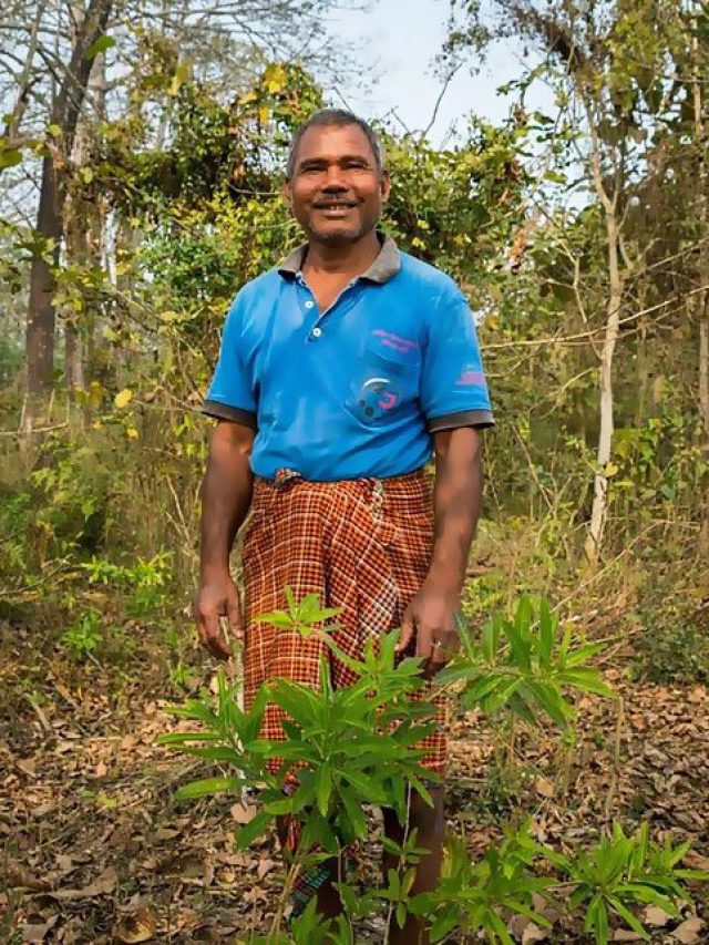 The Man Behind Molai Forest: Jadav Molai Payeng! - People Places