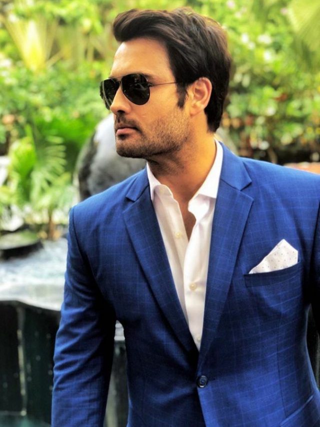 Vivian Dsena: Everything About His Family, Wife, Religion, And Kids ...