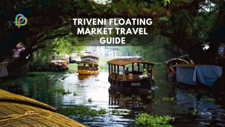 A Complete Travel Plan To Triveni Floating Market, Kerala! - People Places