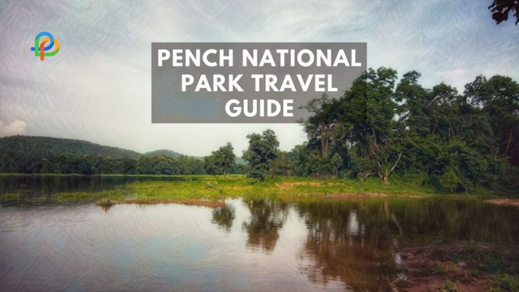 Enjoy Wildlife Diversity: A Journey To Pench National Park! - People Places
