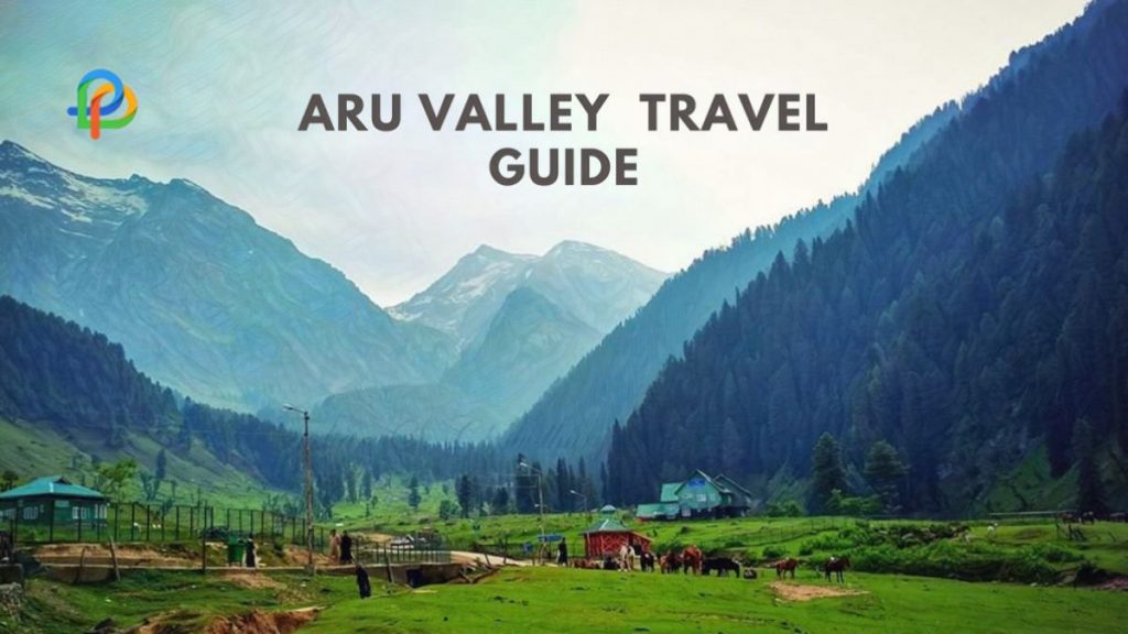 Aru Valley Travel Guide: A Picturesque Escape In Kashmir! - People Places
