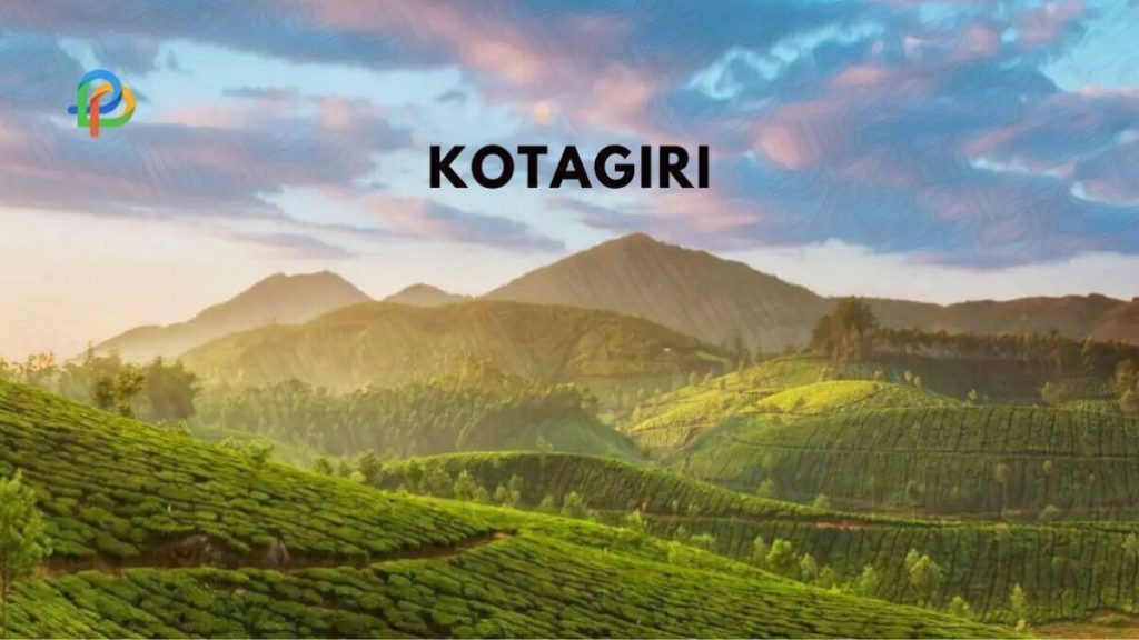 Kotagiri: Discover A Small Hill Station In Tamil Nadu! - People Places