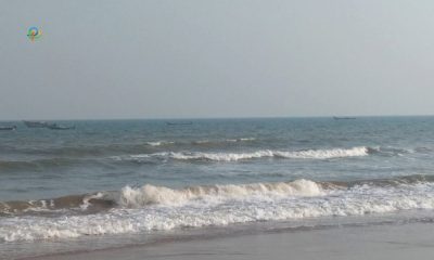Ongole: Discover The Small Coastal Town In Andhra Pradesh! - People Places