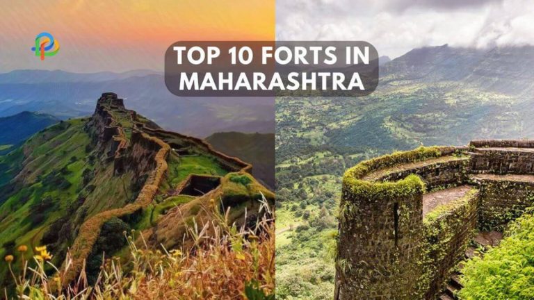 Majestic Maharashtra: Discover The Top 10 Forts Of The State! - People ...
