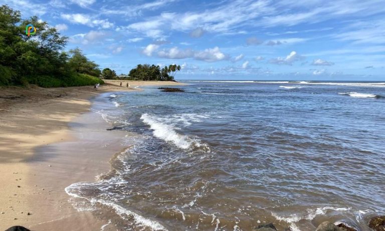 Ongole: Discover The Small Coastal Town In Andhra Pradesh! - People Places