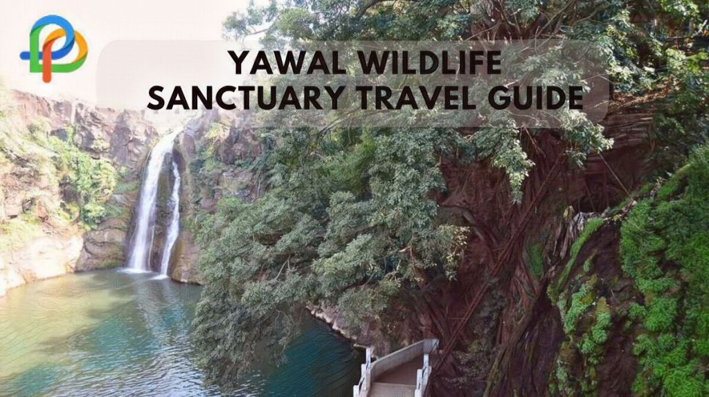Yawal Wildlife Sanctuary: An Ultimate Travel Guide For You! - People Places