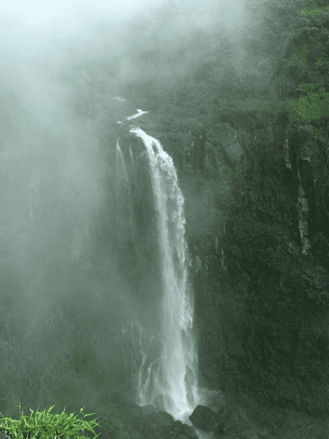 Enjoy The Scenic Beauty Of Chikhaldara, Maharashtra! - People Places