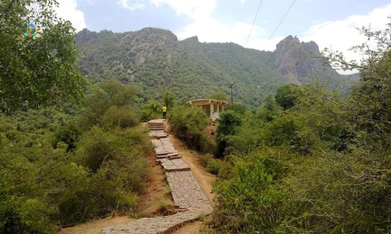 Javadi Hills: A Must-Visit Destination For Adventure Seekers - People ...