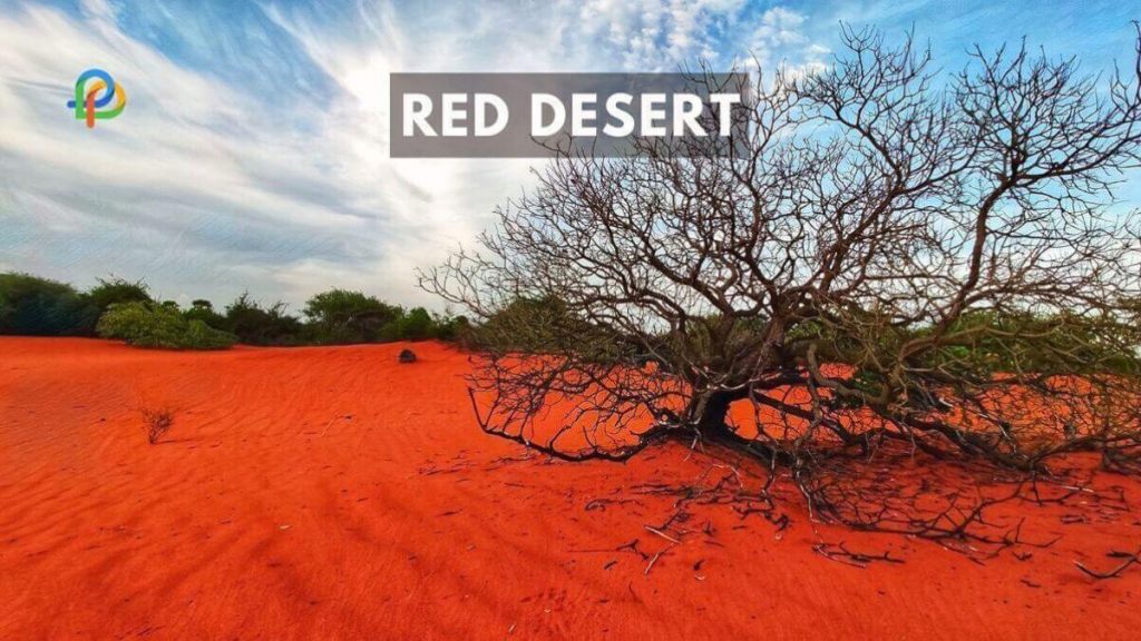 Explore The Red Desert Of Tamil Nadu: A Guide To Theri Kaadu! - People ...