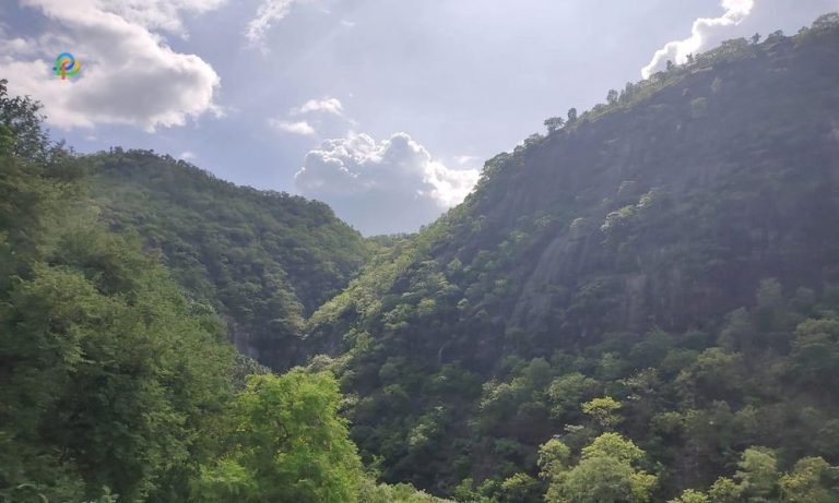 Explore Top Wildlife Sanctuary Near Pune-2023! - People Places
