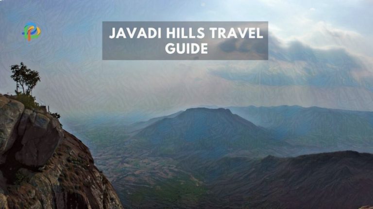 Javadi Hills: A Must-Visit Destination For Adventure Seekers - People ...