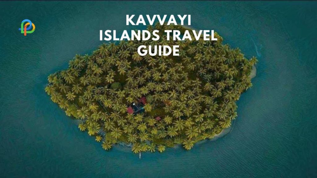 Kavvayi Islands: Explore The Serene Jewel Of Kerala! - People Places