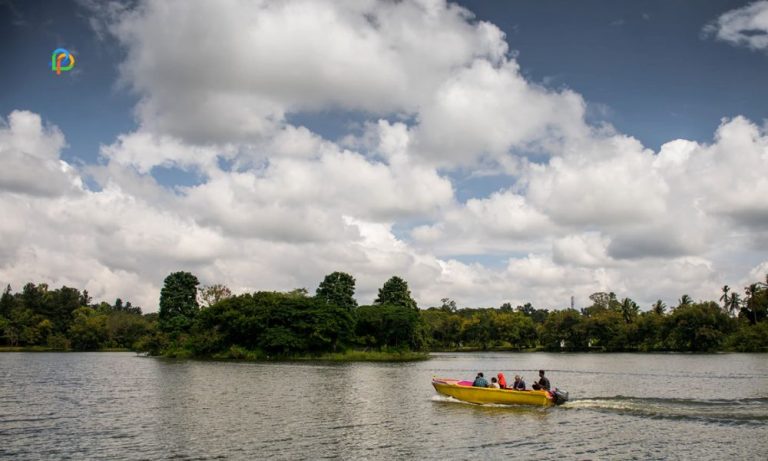 Javadi Hills: A Must-Visit Destination For Adventure Seekers - People ...