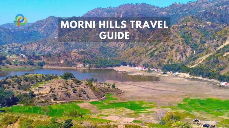 Morni Hills: A Quick Travel Guide To Haryana's Scenic Spot! - People Places