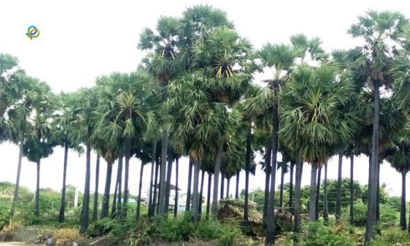 Explore The Red Desert Of Tamil Nadu: A Guide To Theri Kaadu! - People ...