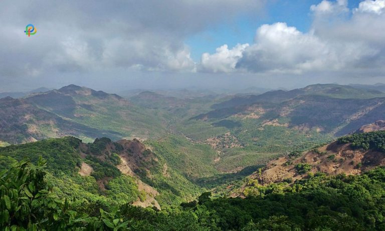 Explore Top Wildlife Sanctuary Near Pune-2023! - People Places
