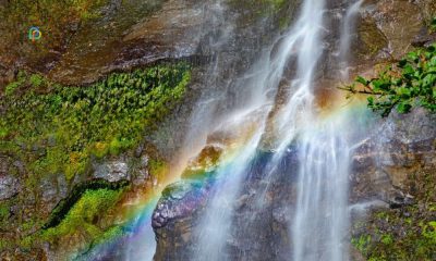 6 Must-Visit Waterfalls In West Bengal For A Refreshing Trip - People ...