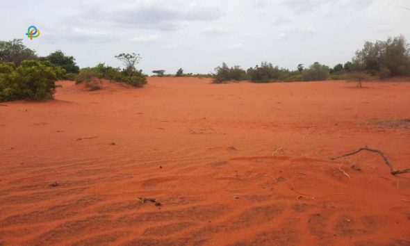 Explore The Red Desert Of Tamil Nadu: A Guide To Theri Kaadu! - People ...