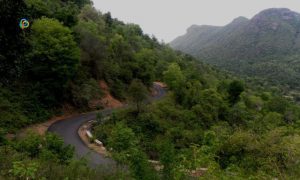Javadi Hills: A Must-Visit Destination For Adventure Seekers - People ...