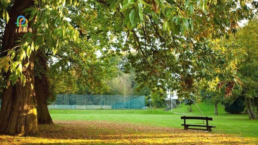 Women Only, Please! Women-Only Pink Parks Are Coming to Delhi - People ...