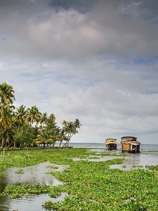 Enjoy The Monsoon In Kerala: Top Spots To Explore! - People Places