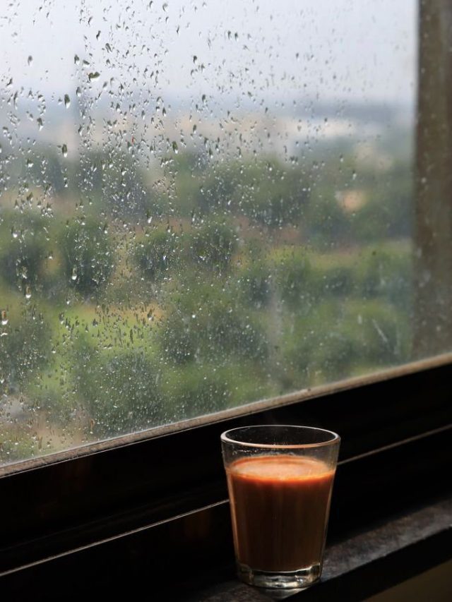Monsoon In Nashik: Top Spots To Enjoy! - People Places