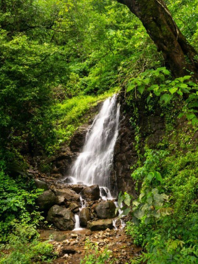 Discover These Incredible Waterfalls Near Visakhapatnam! - People Places