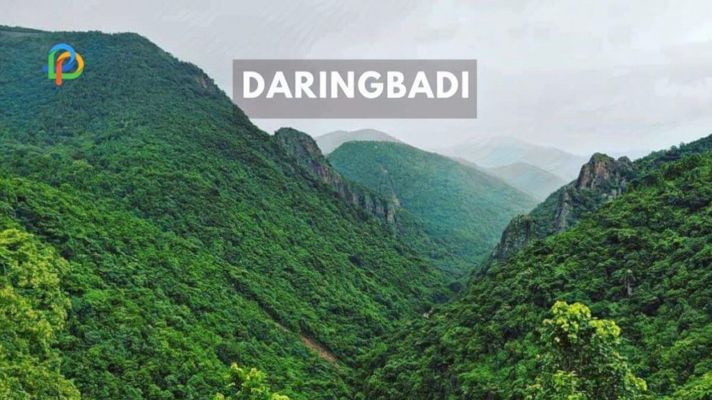 Daringbadi: Explore The Kashmir Of Odisha! - People Places